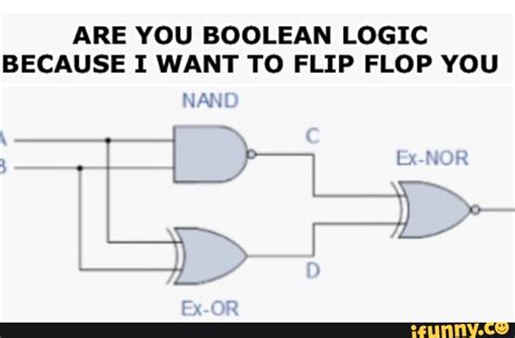 ARE YOU BOOLEAN LOGIC BECAUSE I WANT TO FLIP FLOP YOU IFunny