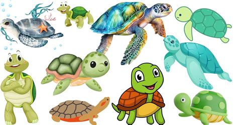 How To Tell The Gender Of A Turtle 4 Easy Ways All Turtles