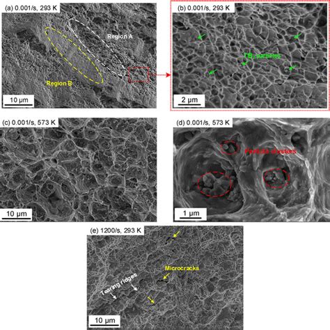 E Sem Micrographs Showing The Fracture Morphologies Of In Situ Tib 2 Download Scientific