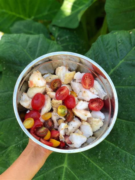 Sprouted Coconut Miami Fruit