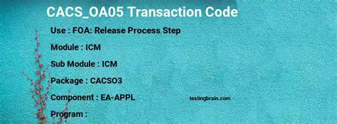 CACS OA05 SAP Tcode For FOA Release Process Step