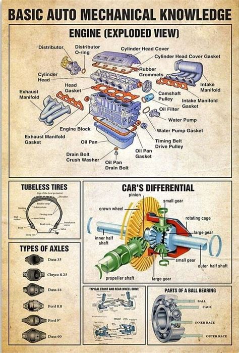 BASIC AUTO MECHANICAL KNOWLEDGE ENGINE EXPLODED VIEW Distributor Distributor Cylinder Head