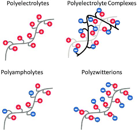 Schematic Representation Of Polyelectrolytes Polyelectrolyte Complexes