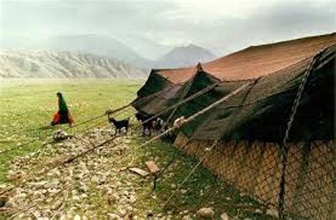 ایل بختیاری