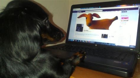 Izzy Belles Blogging Journey