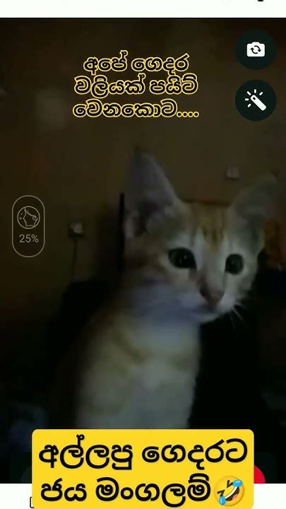 නිකිගේ කෝලම්‍🥰 Youtube