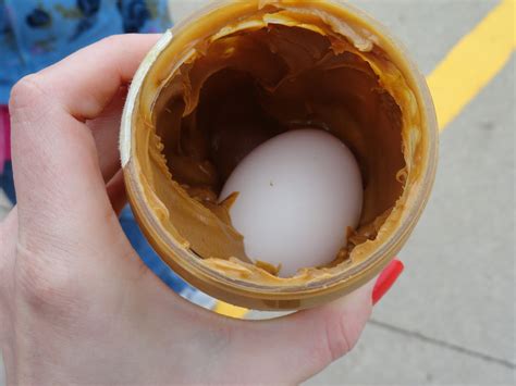 Egg Drop Experiment Explanation