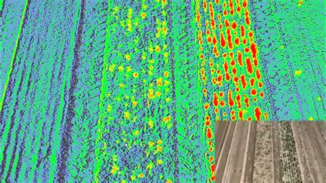 Beyond The Visible Utilizing Dji Mavic 3m And Proofminder Ai Model To Count Trees Youtube