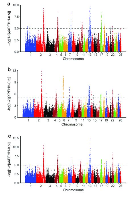 Manhattan Plots For Cross Population Extended Haplotype Homozygosity Download Scientific