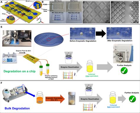 A Schematic Presentation Of The Microfluidic Chip Designs For Download Scientific Diagram