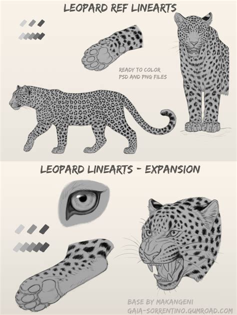 Leopard Ref Lineart Sets For Sale By Makangeni On Deviantart