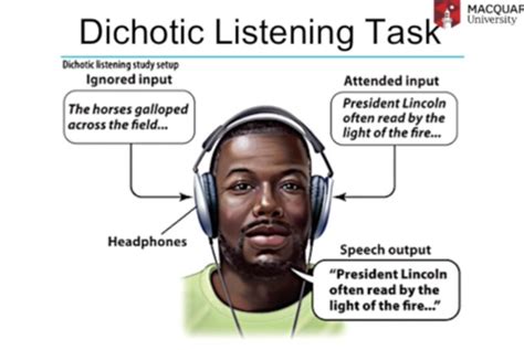 Week 12 Psyu1102 Cog Psych Attention Flashcards Quizlet