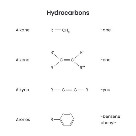 Premium Vector Hydrocarbon Functional Groups Biochemistry Science Vector Infographic