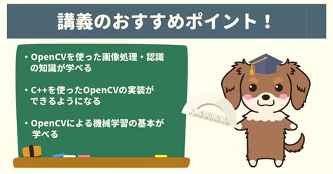 OpenCVを機械学習に使いたいなら持っておきたい本詳解OpenCV コンピュータビジョンライブラリを使った画像処理認識 スネークぴょんぴょん OpenCVを機械学習に使いたいなら持っておきたい本詳解OpenCV コンピュータビジョンライブラリを使った画像処理認識 スネークぴょんぴょん