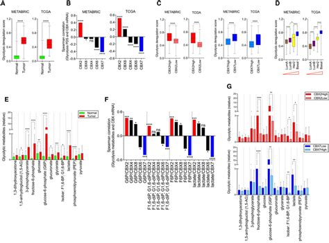 Analysis Of Transcriptomic And Metabolomic Data From Breast Tumors A