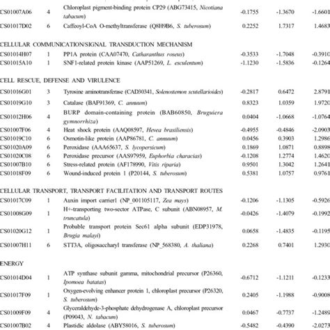 Functional Classification Of Transcripts Differentially Regulated By Mv