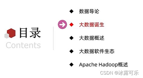 大数据：诞生大数据，概述、大数据软件生态，apache Hadoop概述
