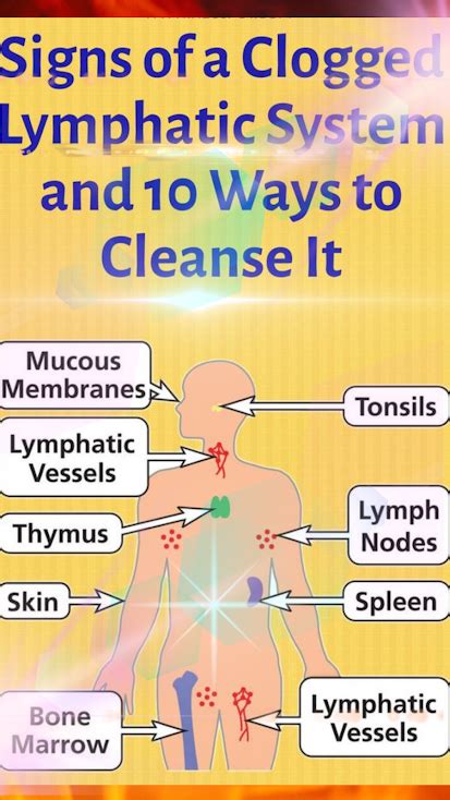 Signs Of A Clogged Lymphatic System And 10 Ways To Cleanse It