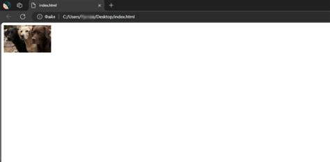 Как изменять размеры картинки в Css на Html