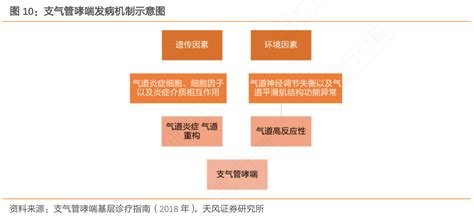 支气管哮喘发病机制示意图行行查行业研究数据库