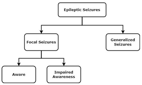 Applied Sciences Free Full Text Epileptic Seizure Classification Based On Random Neural
