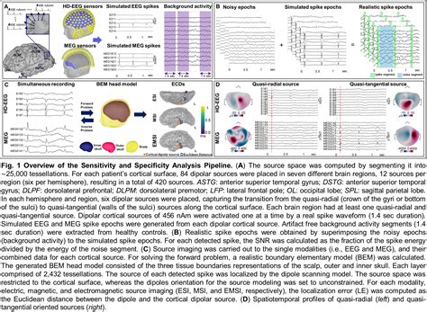 Sensitivity And Specificity Of High Density Eeg And Meg In Localizing Interictal Spikes A