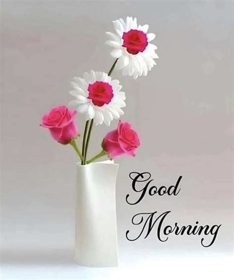 Солонгос бэлэн хувцас