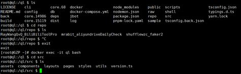 找不到要运行的项目。请确保 Root 中存在项目，或使用 Project 传递项目路径。 · Issue 490 · Raywangqvqbilibilitoolpro · Github