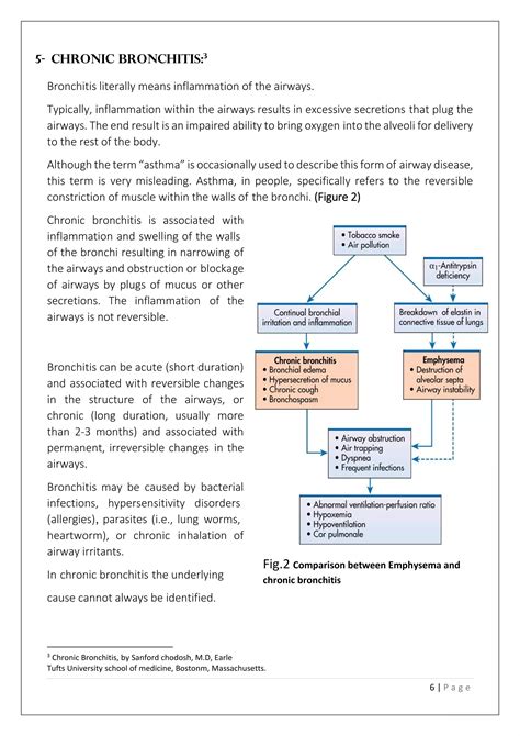 Emphysema Pdf