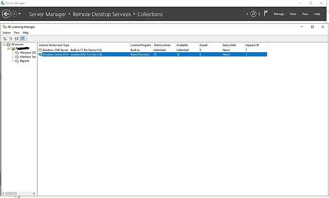 Rds License Server Issue Server 2019 Standard Windows Spiceworks Community