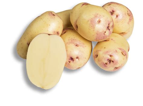 What We Grow South Australian Potato Co