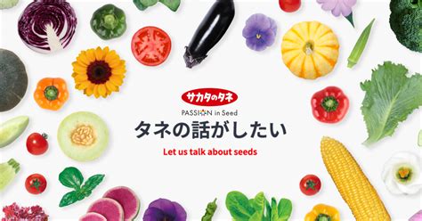 ホクホク白皮カボチャ 「雪化粧」｜【サカタのタネ】種・苗・園芸用品の商品情報