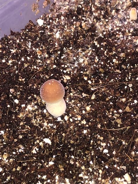 Actives Is This An Abort It Doesnt Look Like The Rest Of My Pins