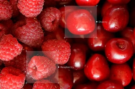 Optimize Your Training Data Pipeline For Accuracy And Speed