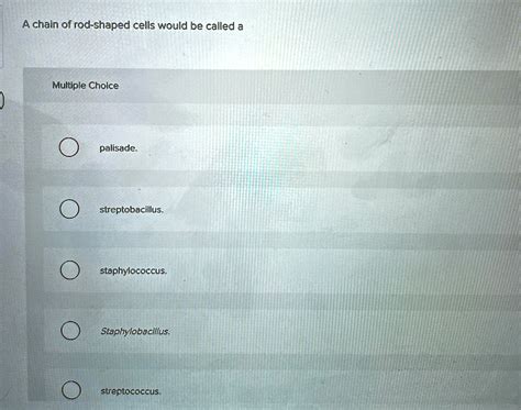 A Chain Of Rod Shaped Cells Would Be Called A Multiple Choice Palisade Streptobacillus