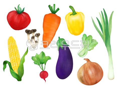 채소일러스트 야채일러스트 양파 옥수수 당근 사진이미지일러스트캘리그라피 고양이고씨작가