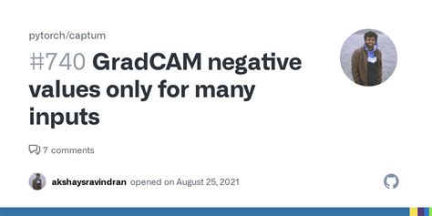 GradCAM Negative Values Only For Many Inputs Issue Pytorch Captum GitHub