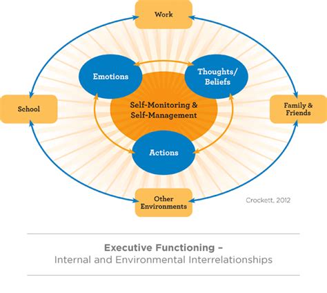 Executive Brain Function