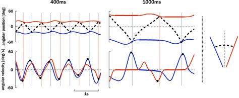 Typical Angular Trajectories At Fast Tempo T 400 Ms Left And Slow