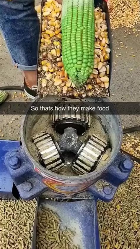 That Look Tasty Corn Tasty Meme Thomas Zayas Facebook