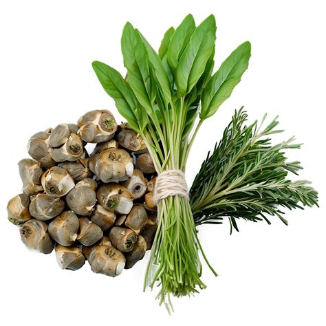 Download Bunch Of Herb Png 58