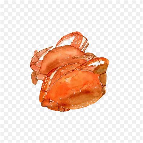 阳澄湖大闸蟹手绘画素材图片png图片素材下载图片编号9419391 Png素材网