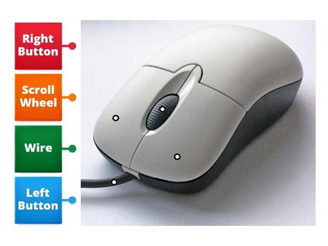 Parts Of A Computer Mouse Labelled Diagram