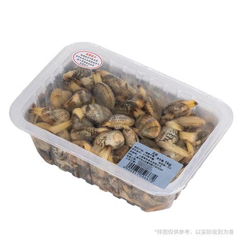 冰鲜花蛤 1kg WKEA 上海维嘉