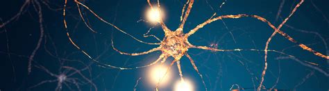 Comprehensive Neuroscience Center Uab