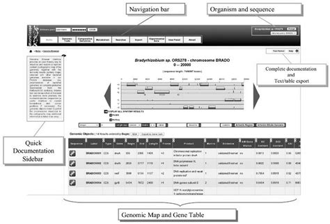 Overview Of The Microscope Platform Download Scientific Diagram