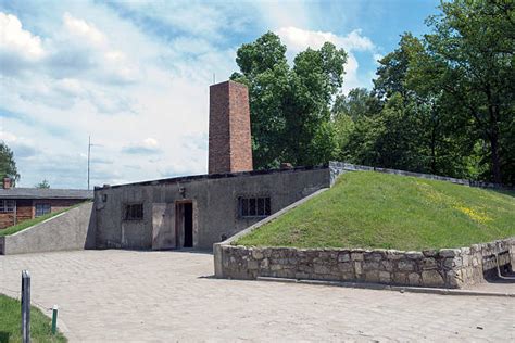 1300개 이상의 가스실 스톡 사진 그림 및 Royalty Free 이미지 Istock