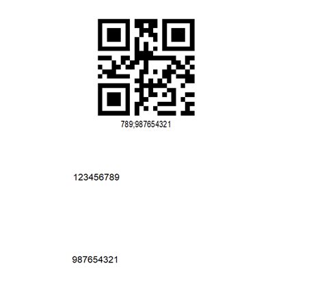 Qr Code Copies Not The Same Bartender Support Portal
