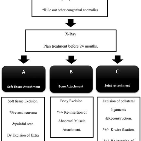 X Ray Showing Bilateral Ulnar Polydactyly Download Scientific Diagram