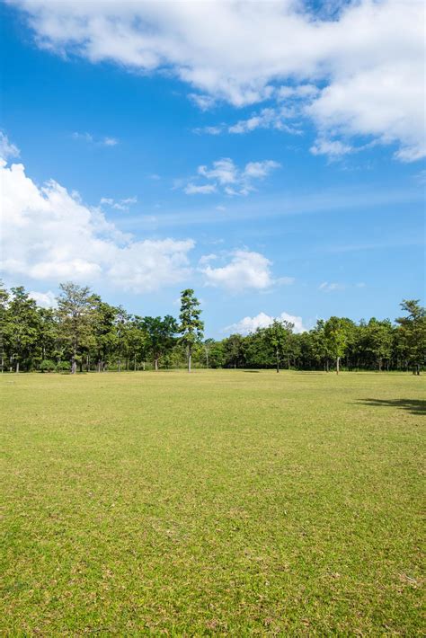 Park With Green Grass Fields With A Beautiful Park Scene Background